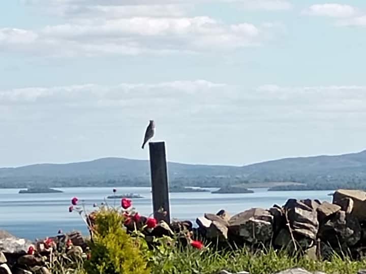 Corrib View Cabin