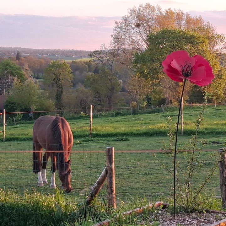 Les Petites Maisons Dans La Monterie - Le Jardin - - Saint-Lô