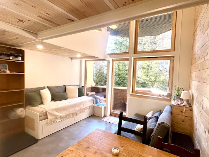 Argentière Duplex. Chamonix Valley, Walk To Slopes - Argentière