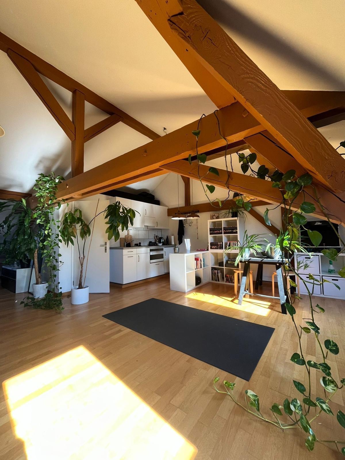 Urban Loft with a View High Above Basel’s Rooftops - Flats for Rent in ...