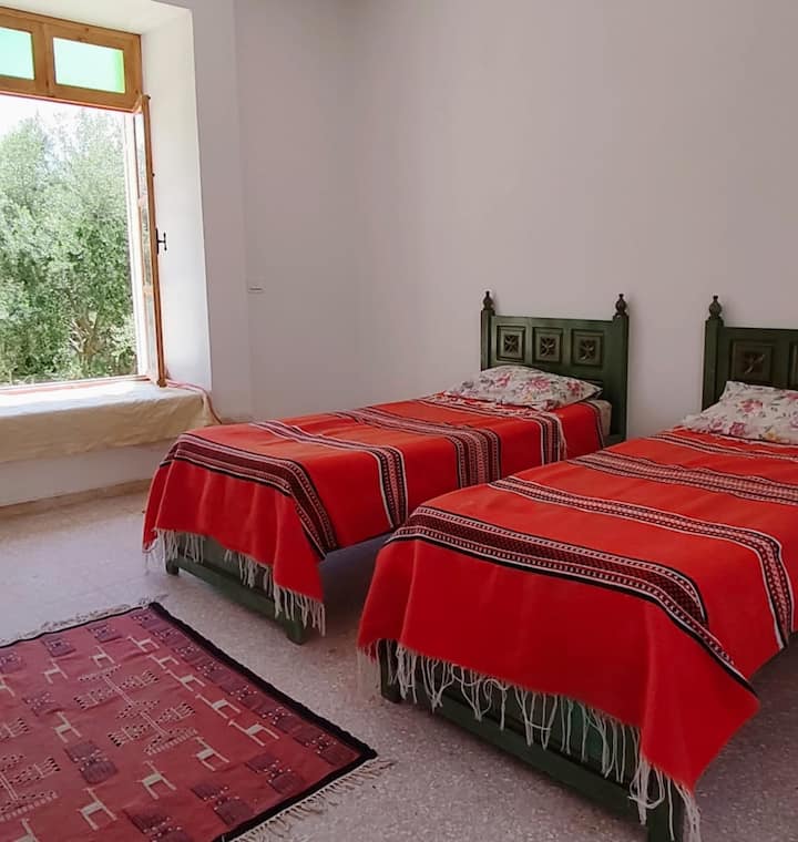 Suite Chahrazed - Tunisia