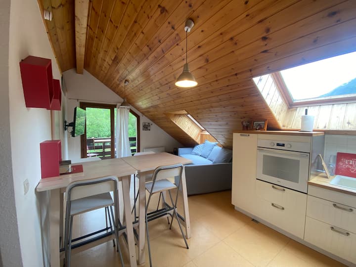 Appartement Lumineux - Allemond