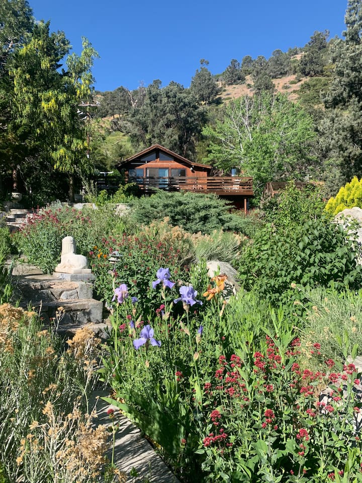 Pine Canyon Cabin On Our Little Slice Of Heaven - Frazier Park, CA