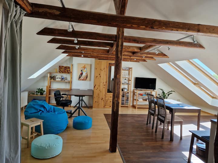 Studiowohnung Im Dachgeschoss - Bad Salzdetfurth
