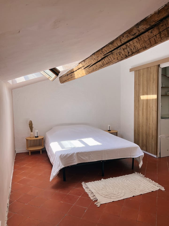 Joli Appartement En Plein Centre Ville - Perpignan