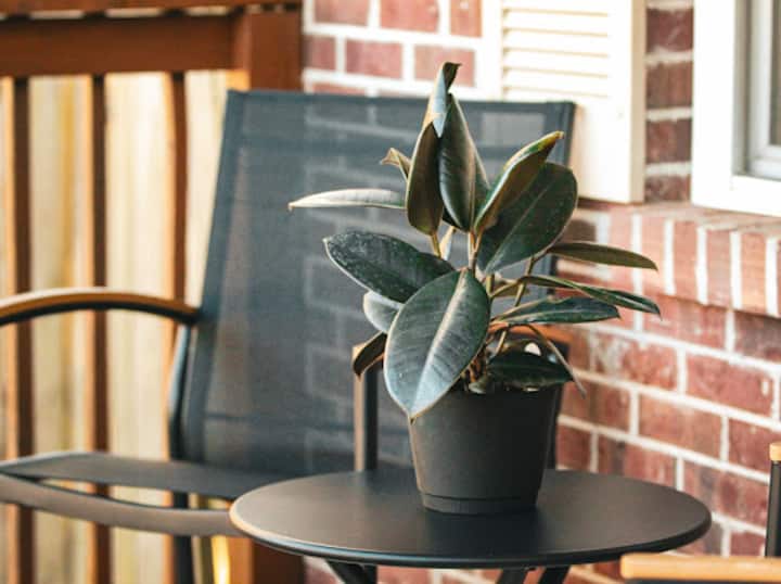 La Familia Stay - Waynesville, MO