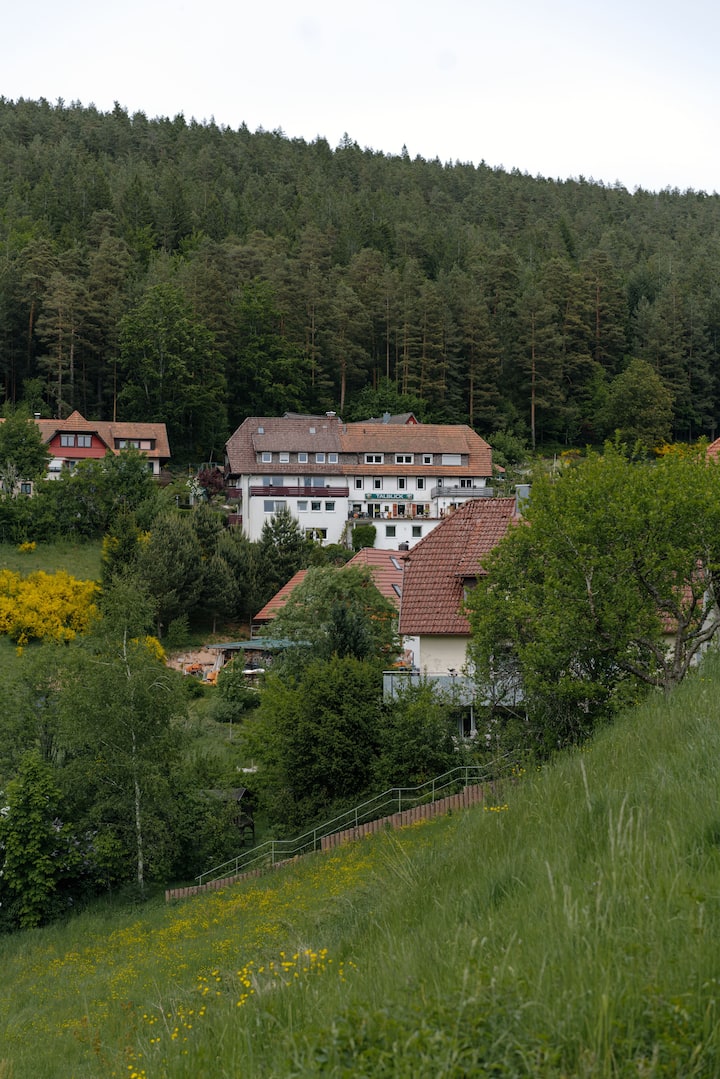 Gasthaus Talblick - Freudenstadt