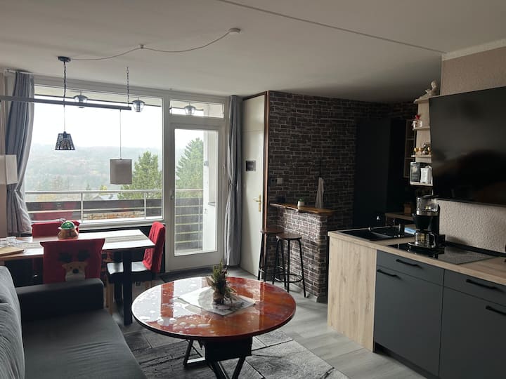 Beautiful Mountain Fewo - Harz