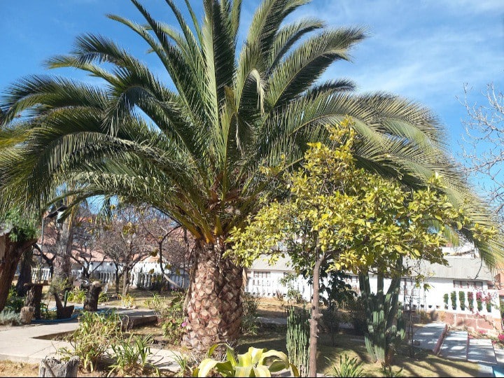 En Pleno Centro De La Ciudad. - Sucre