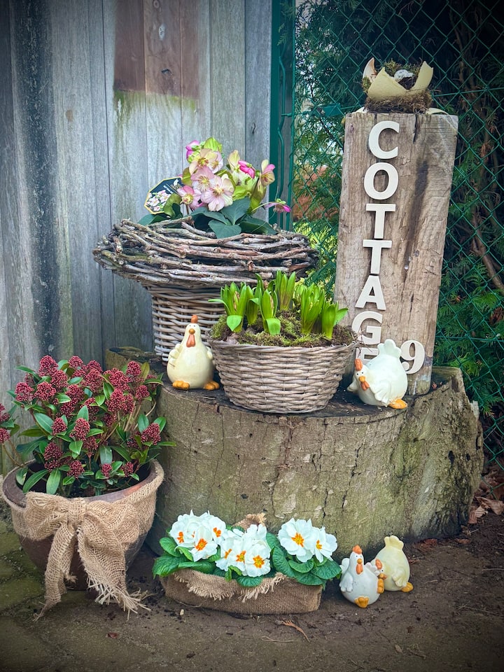 Cottage 9 - Hoogstraten