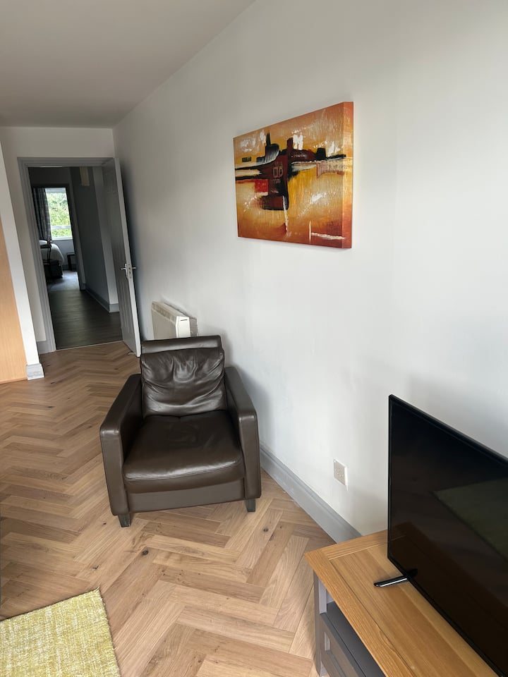 Entire 2 Bedroom Apartment In Dublin. Free Parking - Dublin