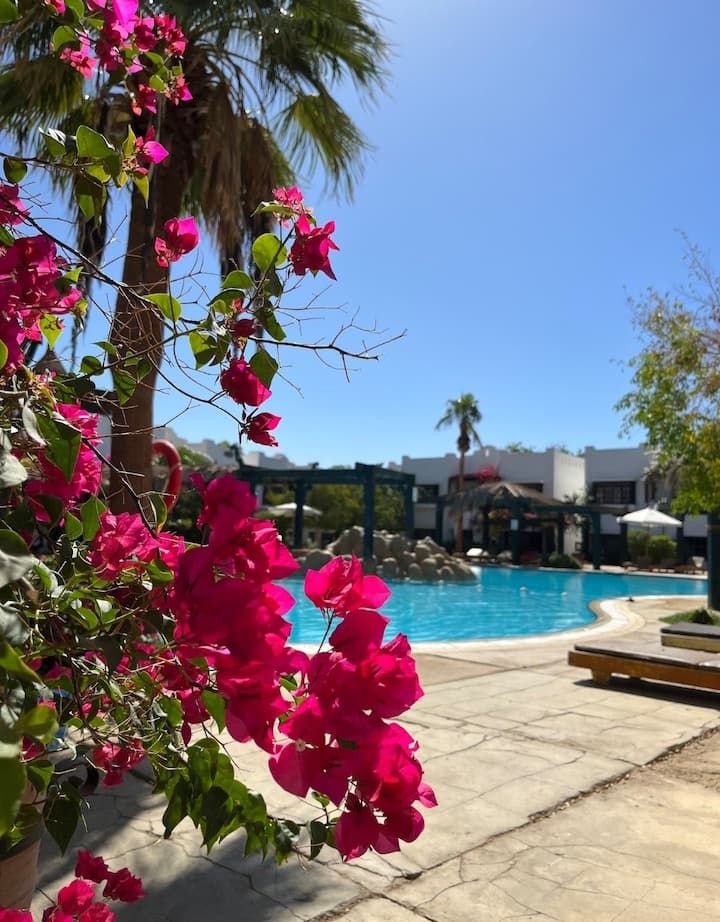 1 Zimmer Wohnung - 沙姆沙伊赫