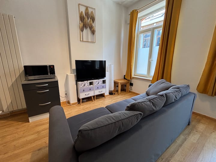 Studio Au Cœur Du Vieux Namur - Namur