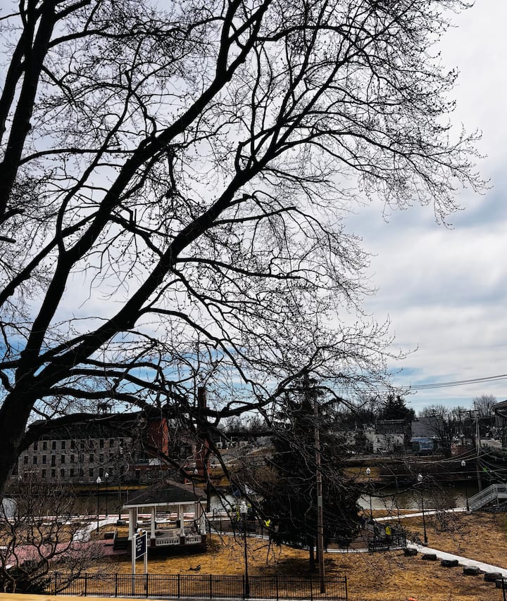 Canal & "Wonderful Life" Bridge Views - Seneca Falls, NY