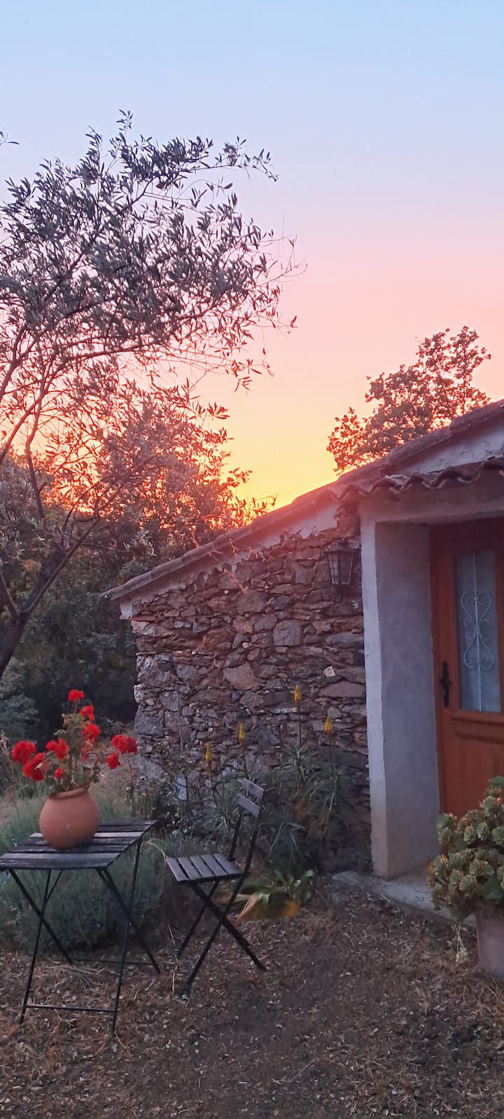La Petite Bergerie - Collobrières