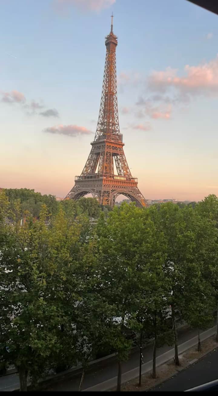 Chambre De Luxe Tour-eiffel - Paris