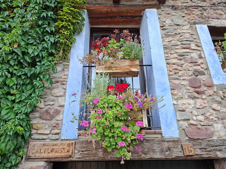 Hébergement Confortable, 15 Km De La Seu D'urgell. - La Seu d'Urgell