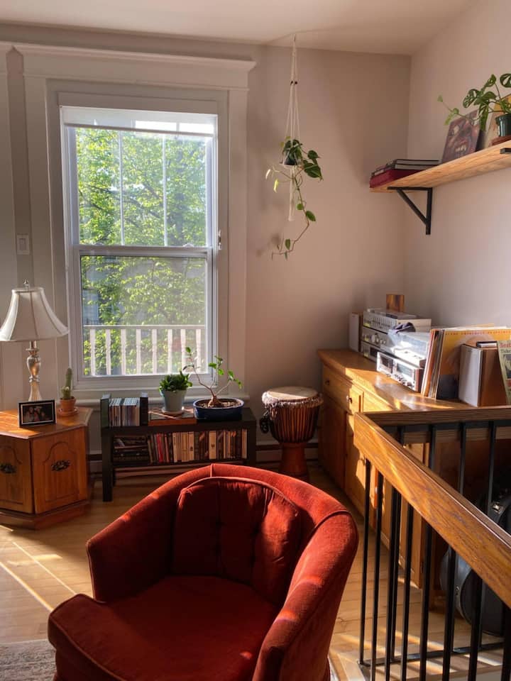 Appartement 4 1/2 - Levis