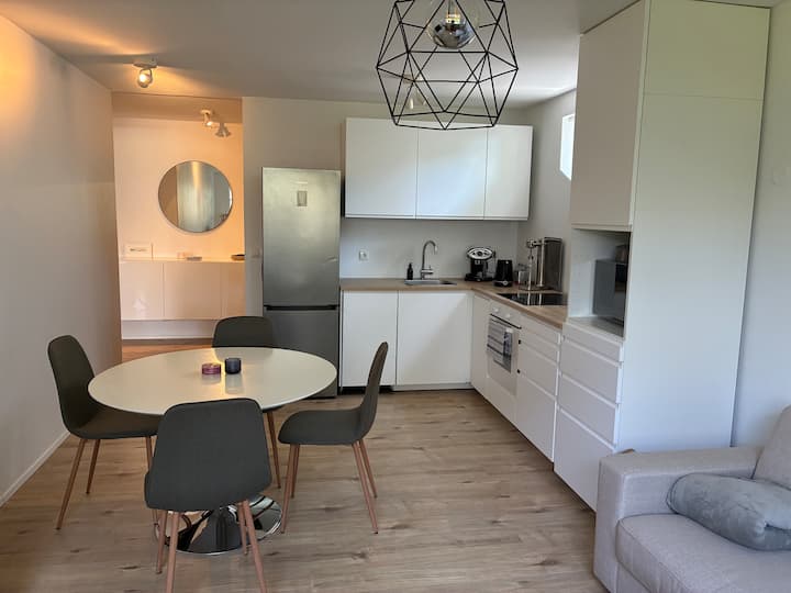 Apartment In The Capital Reykjavik - Reykjavik