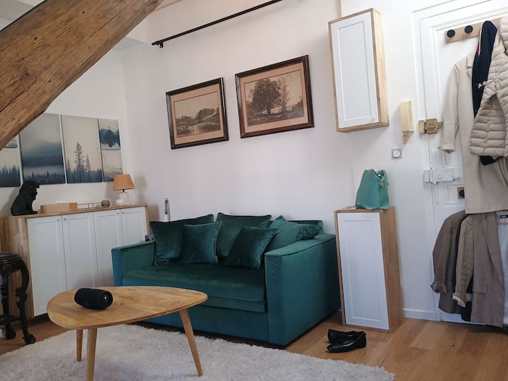 Studio Avec Mezzanine - Paris