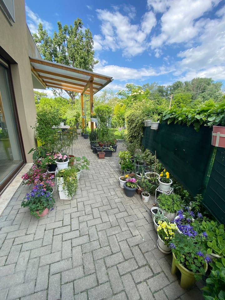 Korzó Terasz Szentendre - 匈牙利