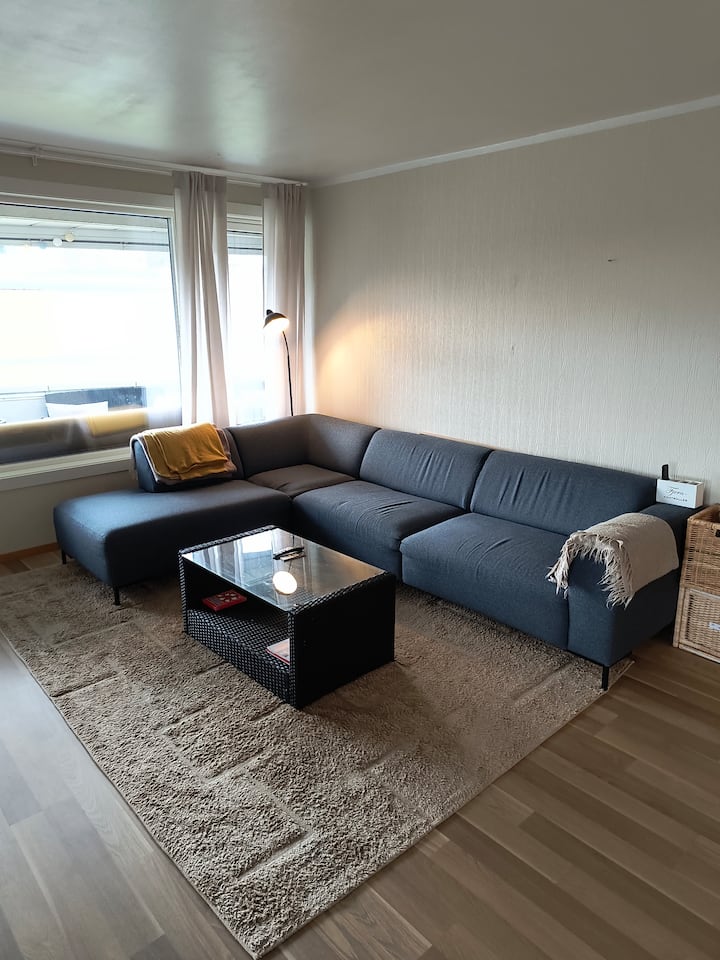 Romslig Leilighet - Trondheim