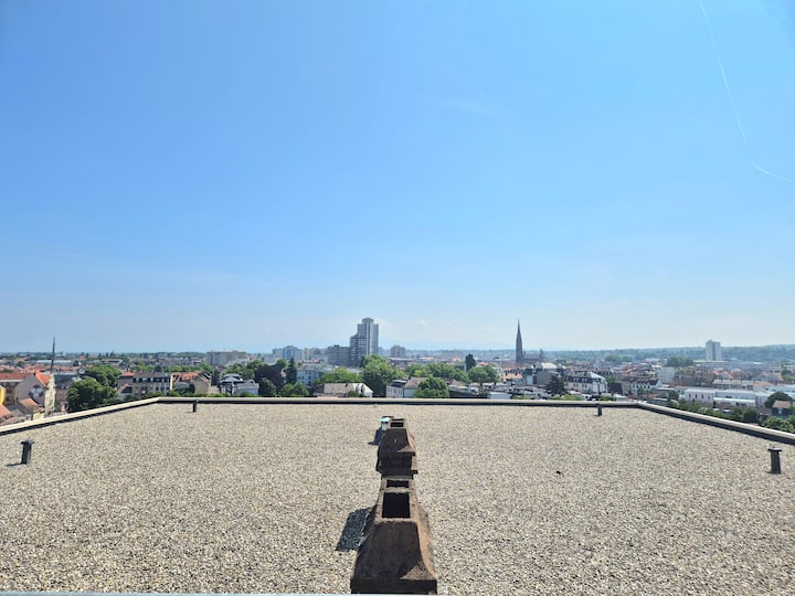 Le Skyview Mulhouse - Mulhouse