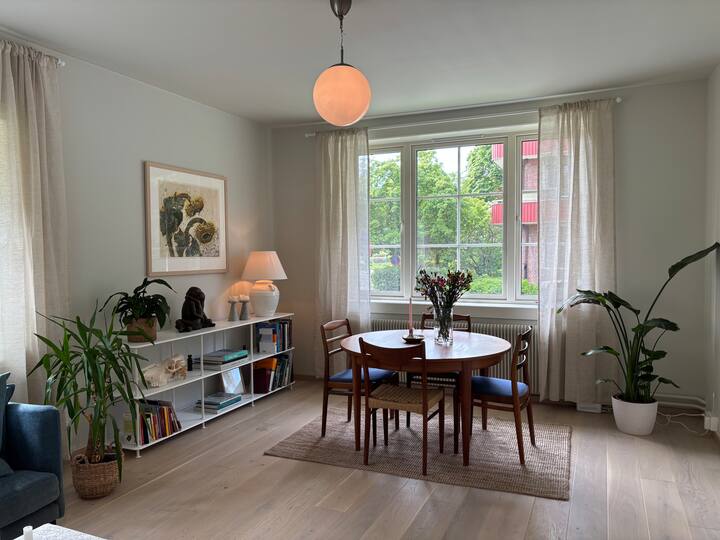 Newly Renovated Cozy Flat - Oslo