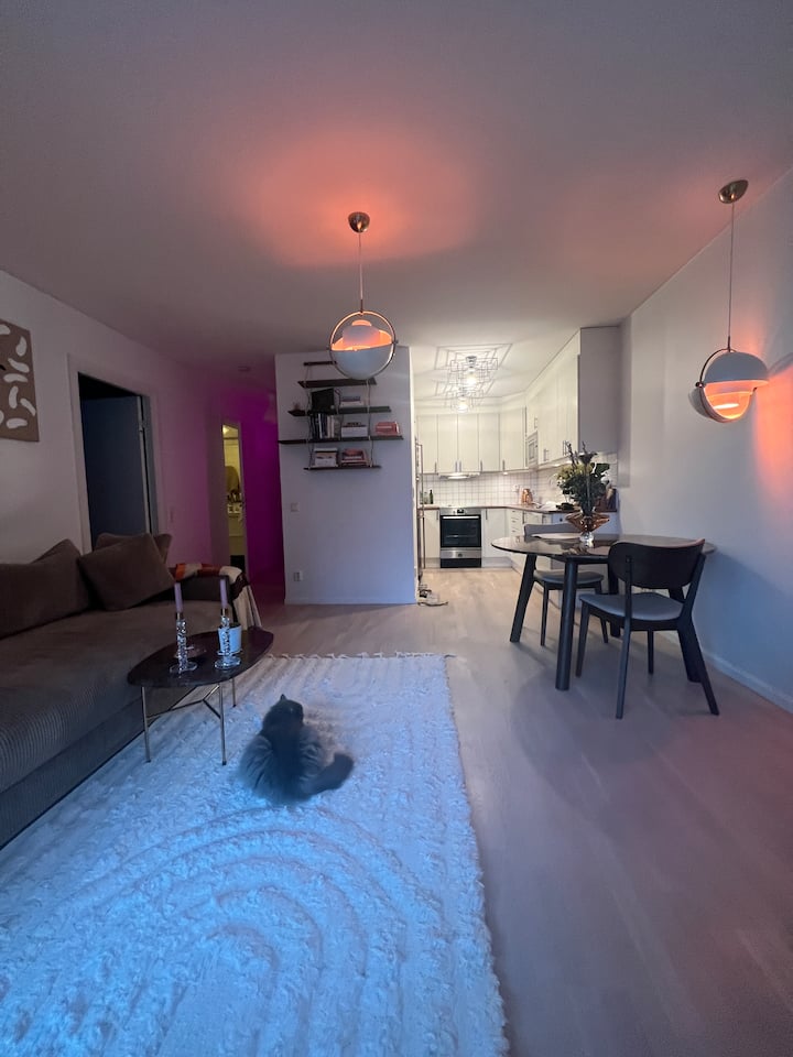 Luxurious Apartment, Lake Access - Stockholm