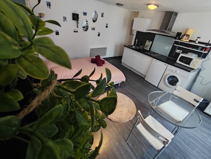 Les Ronchaux *Hyper Centre *Lumineux *25m2 - La Citadelle de Besançon