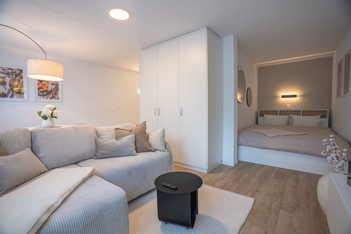 Modernes Studio - Viel Komfort An Zentraler Lage - Visperterminen