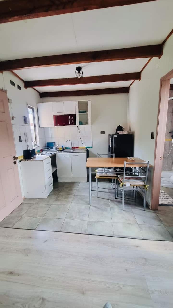 Acogedor Céntrico Departamento - Angol