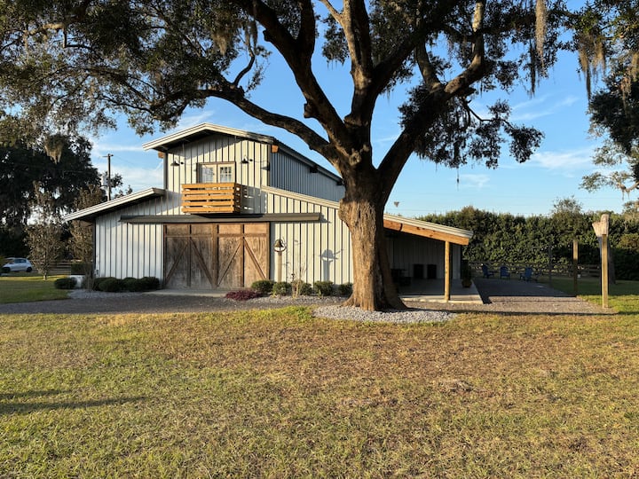 The Loft - Withlacoochee State Forest, Brooksville