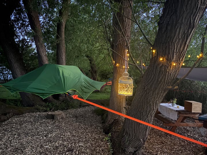 Secluded Glamping In Suffolk, Tree Tent Warbler - Suffolk