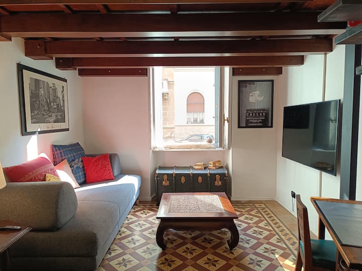 Lovely Vintage Appartament - Torino