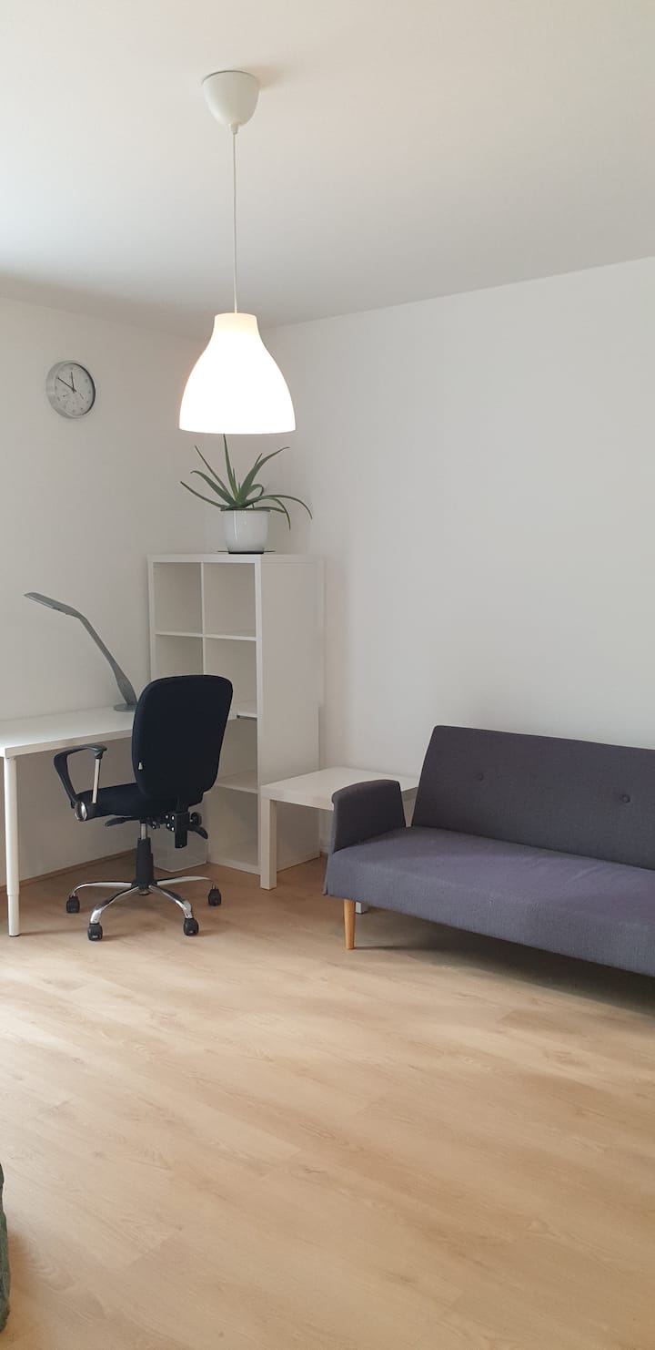 Logement Entier 2 Chambres De 44m2 - Strassburg