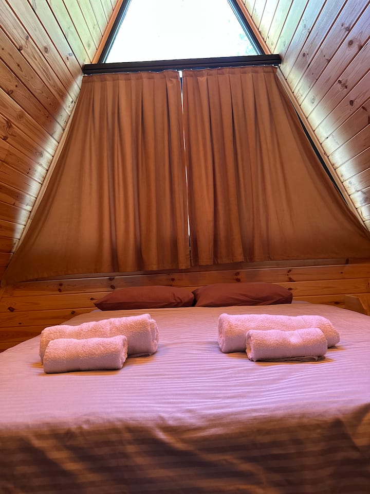 Sapancasadembungalov Ayileyeri - Sapanca