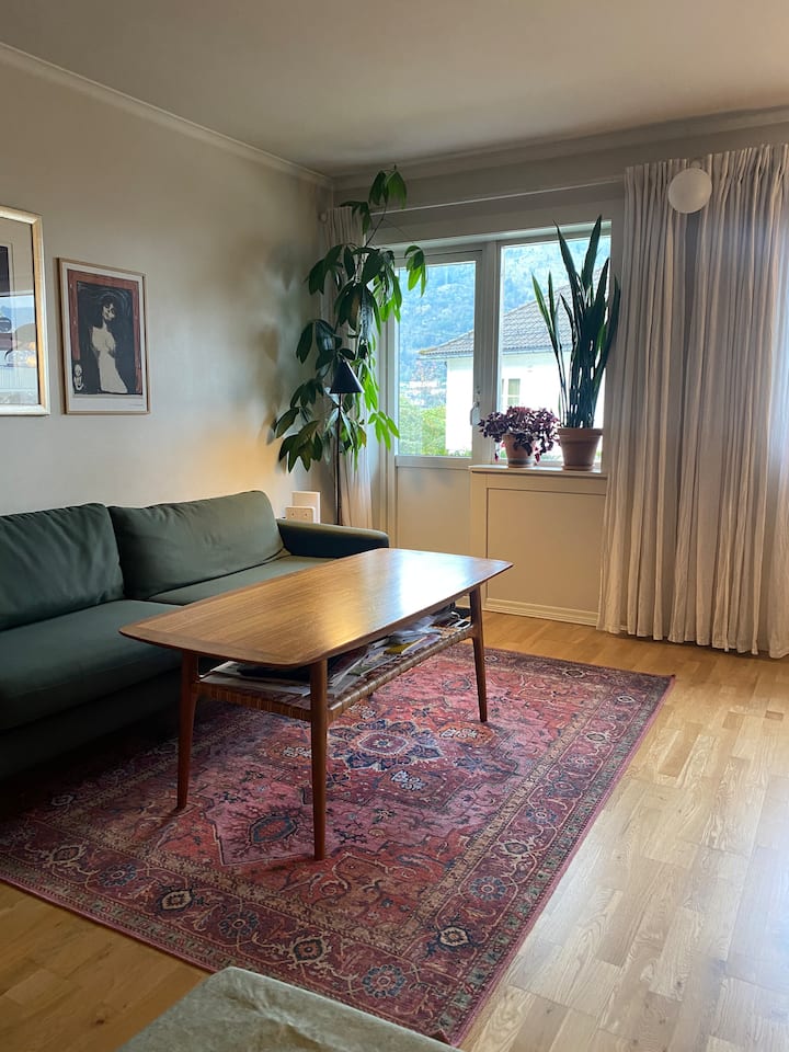 Koselig Treroms Leilighet - Bergen