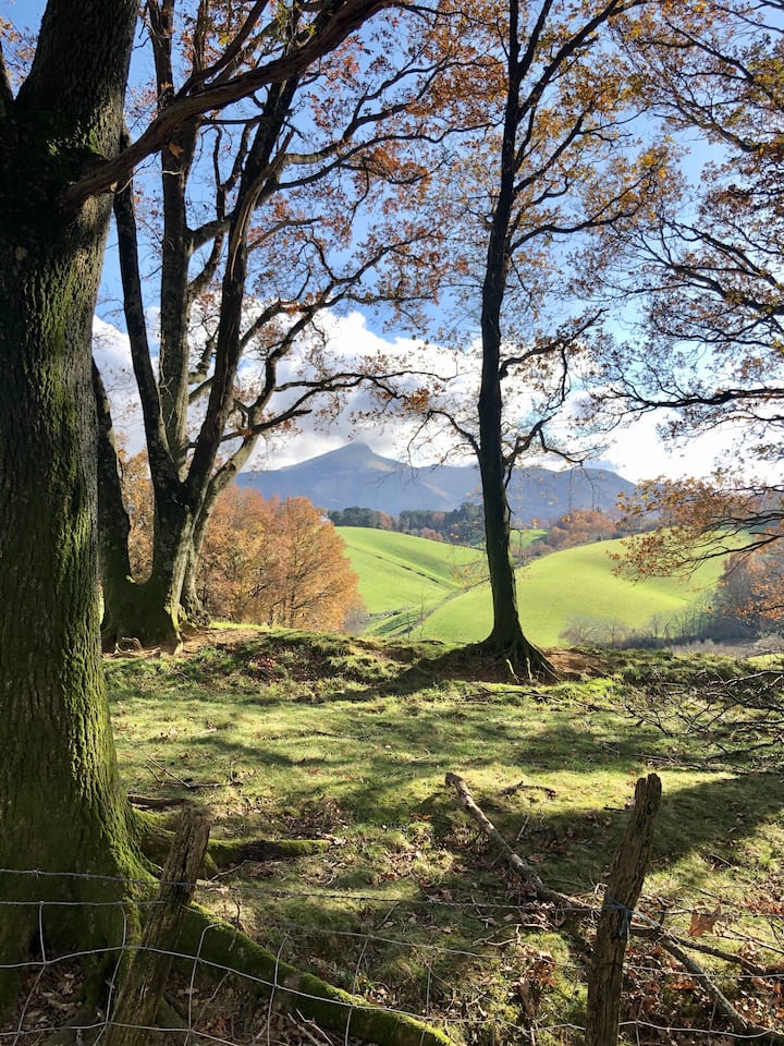 Maison De Campagne Vue Montagnes - Saint-Jean-de-Luz