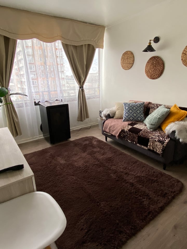 Estadía Central En Temuco. - Temuco