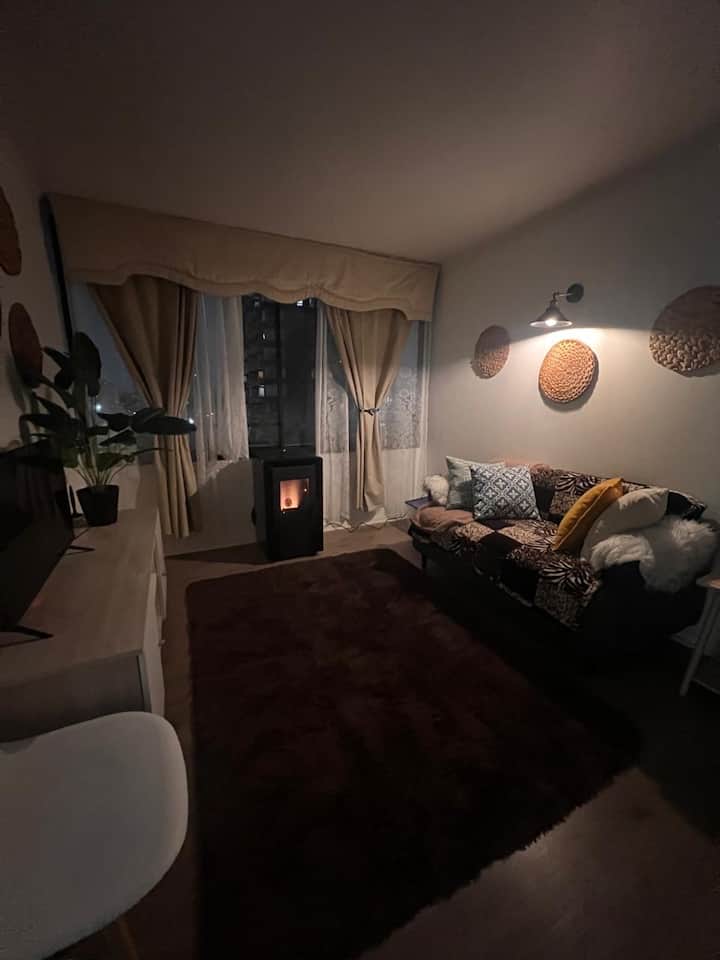 Estadía Central En Temuco. - Temuco