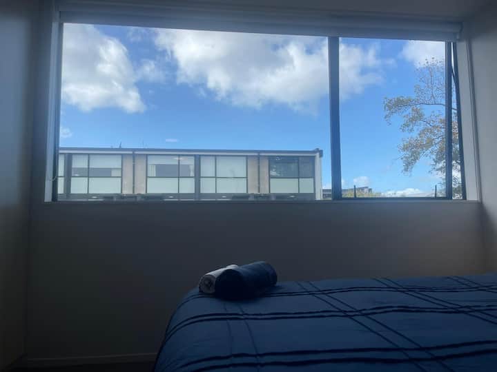 In The Heart Of Christchurch - 基督城