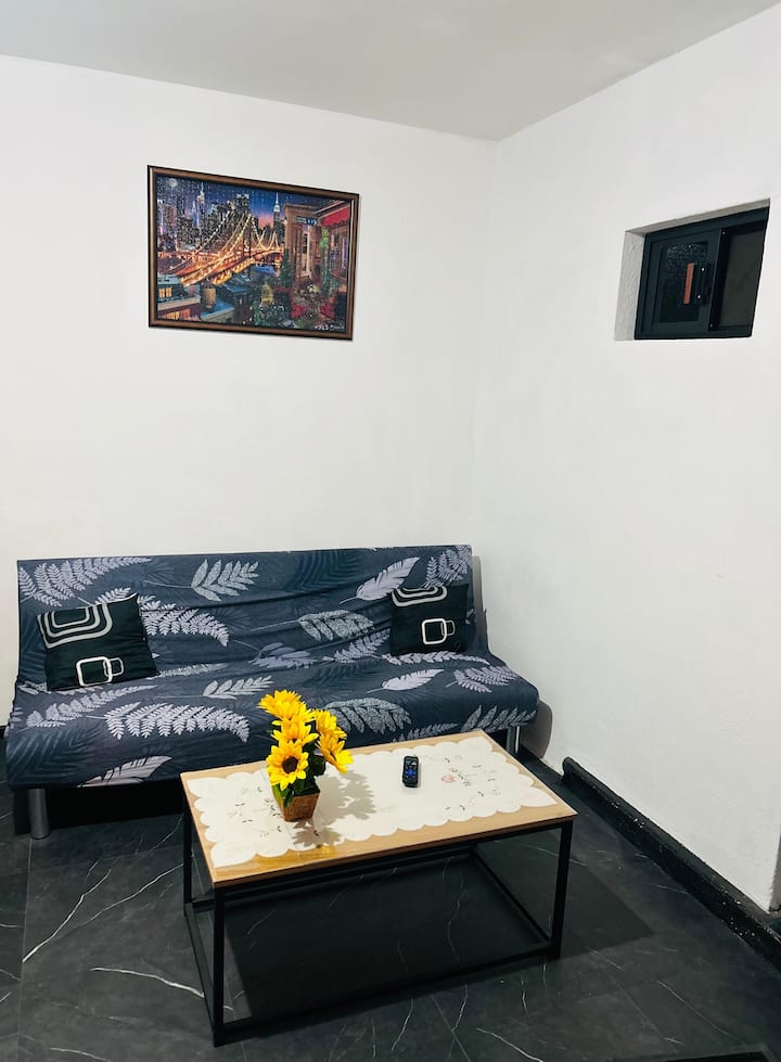 Departamento Con Entrada Independiente - Tlaxcala
