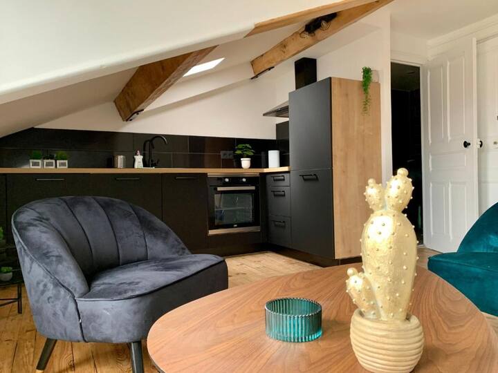 Le Nid Sous Les Toits  Clim  Gare&centre à Pied - Valence
