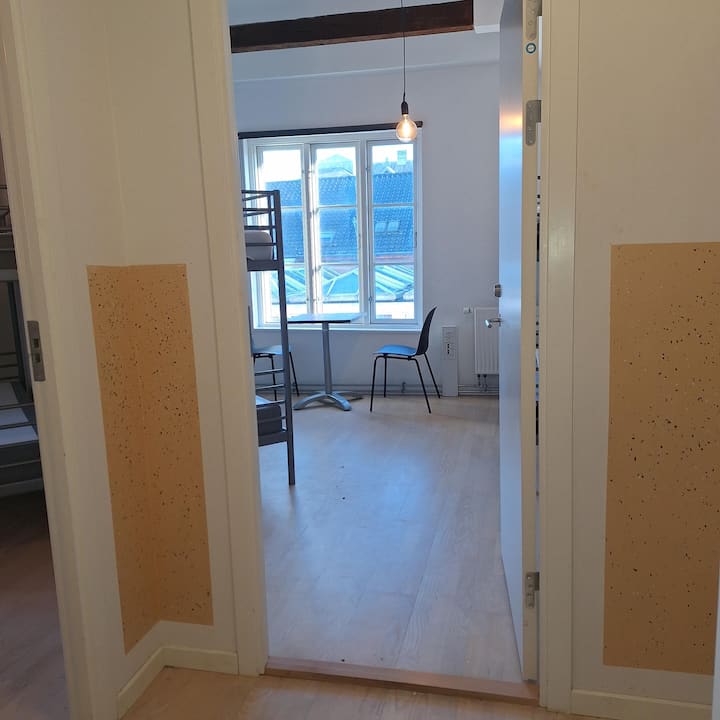 Hostel Prinsessen På æRten - Odense