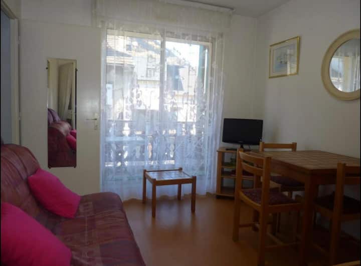 Charmant Appartement (28) - Ax Les Thermes - Ax-les-Thermes