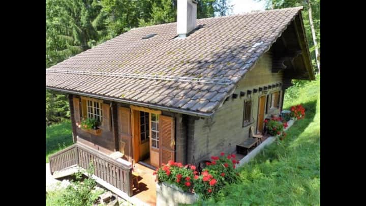 Chalet In Lausanne In Nature - Lausanne