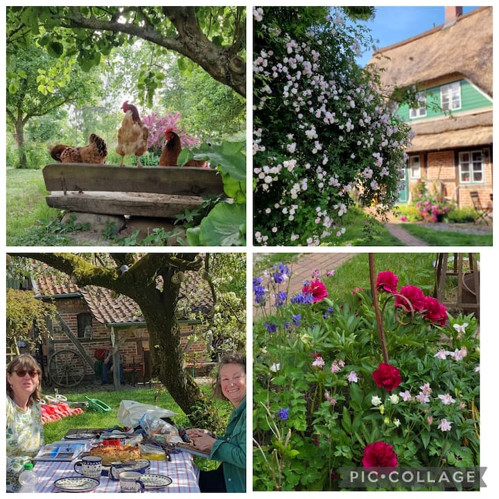 Schattin "Schmiede" Auf Dem Dorf Im Grünen - Ratzeburg