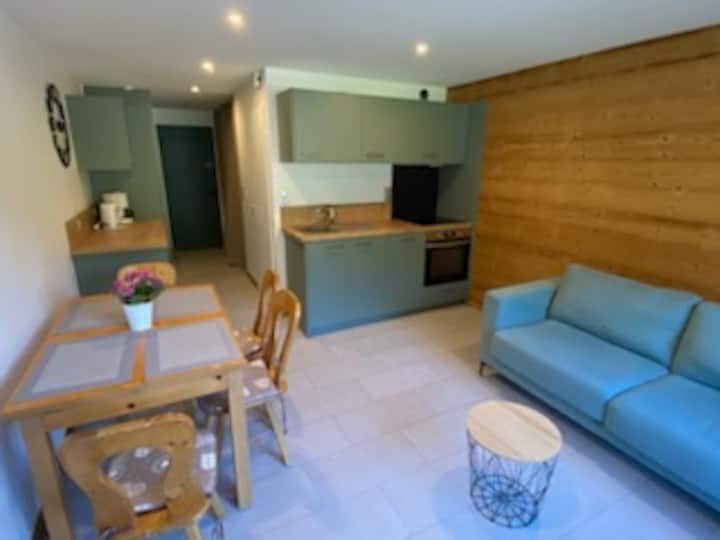 Studio Le Grand Bornand Village - Le Grand-Bornand
