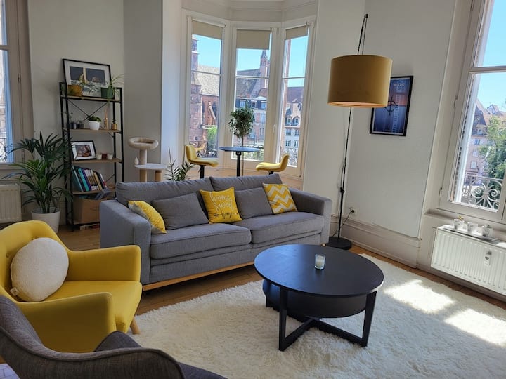 Grand Appartement - Entre Petite France/gare Sncf - Strasbourg